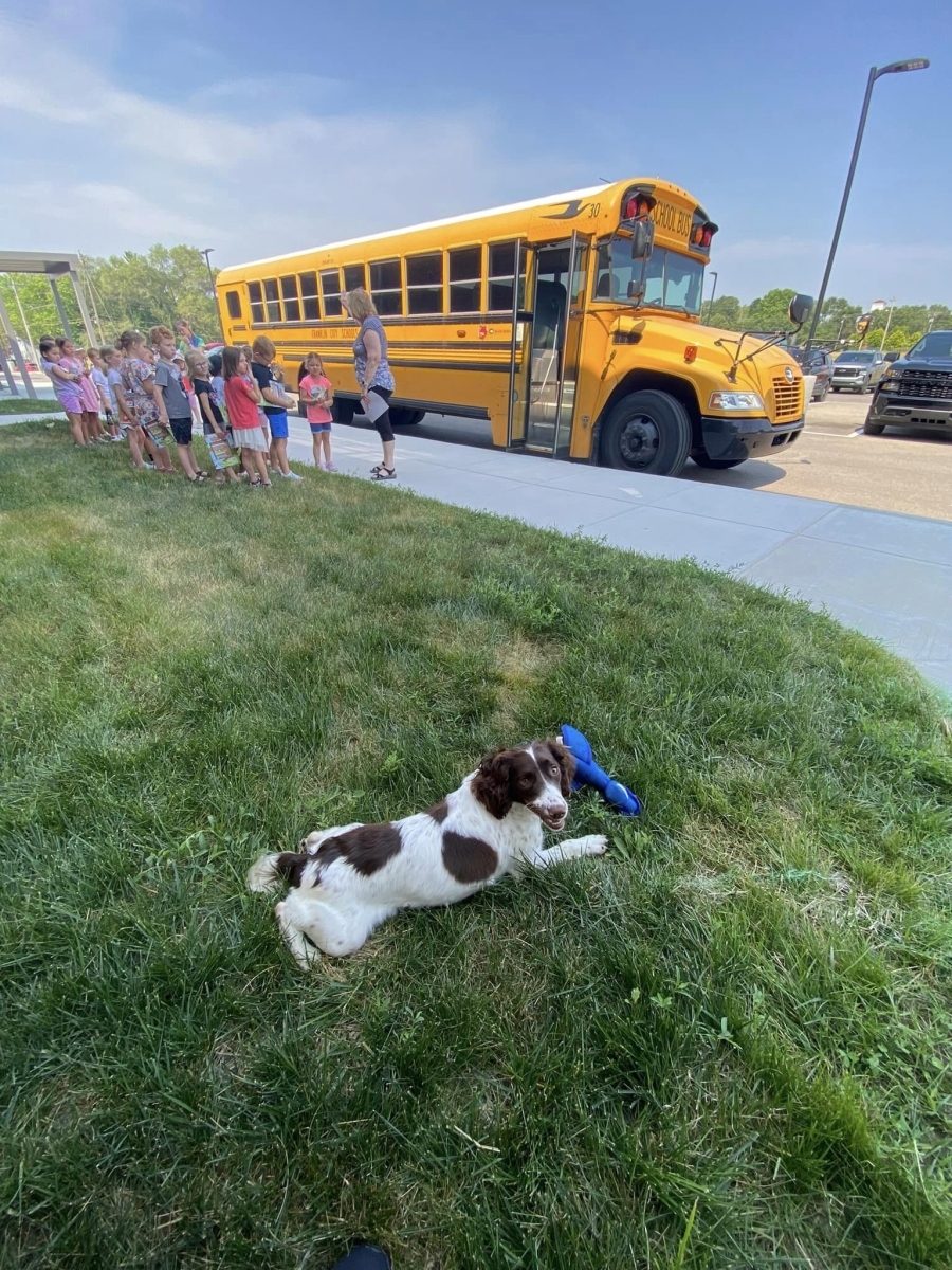 Departments - Transportation - Department Info | Franklin City Schools